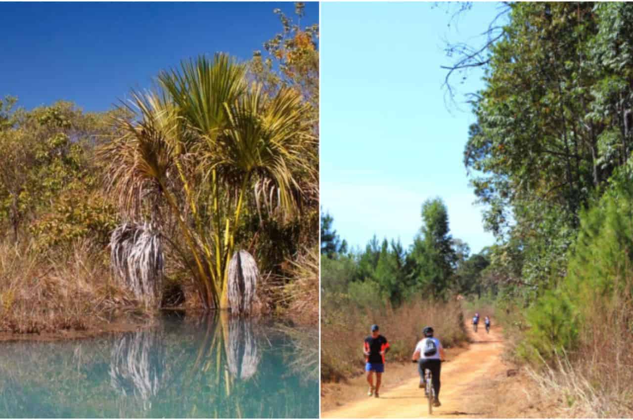 Presidente Sanciona Projeto Que Reduz Em 40 área Da Floresta Nacional