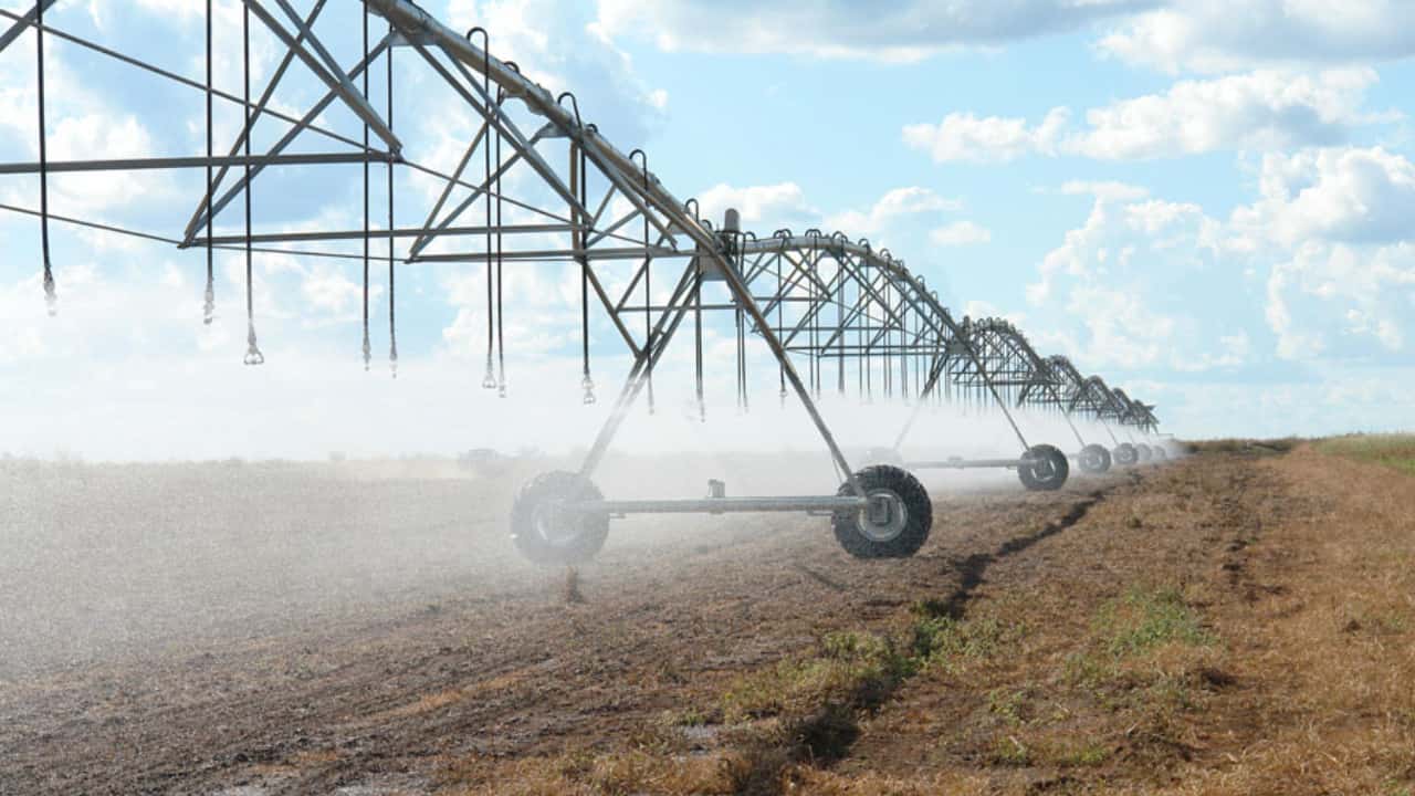 Sistema de Classificação de Terras para irrigação inclui soja e arroz