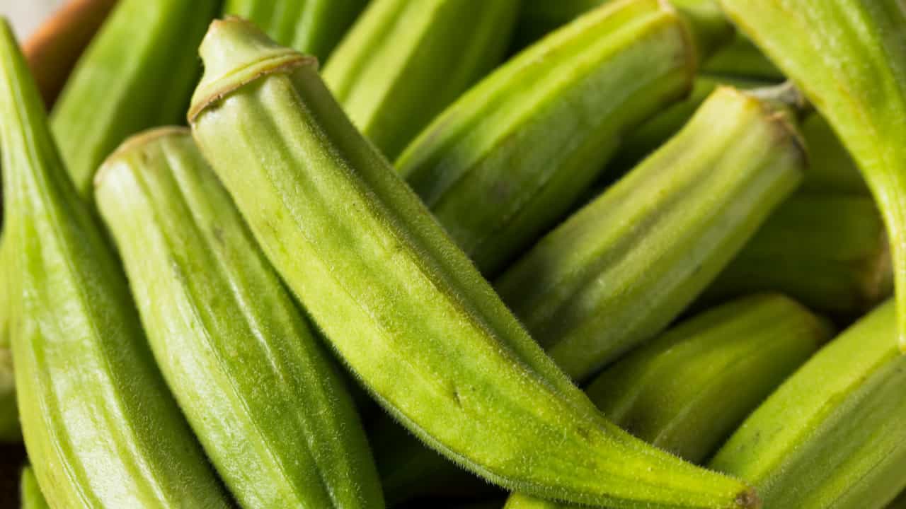 Aprenda como plantar quiabo e confira os nutrientes presentes no fruto ...