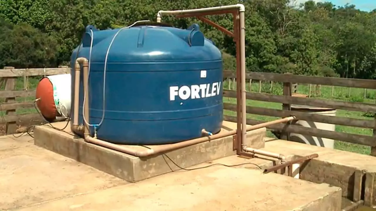 Pecuária pode economizar R$ 1,45 bi por ano com uso de biogás; aponta ...