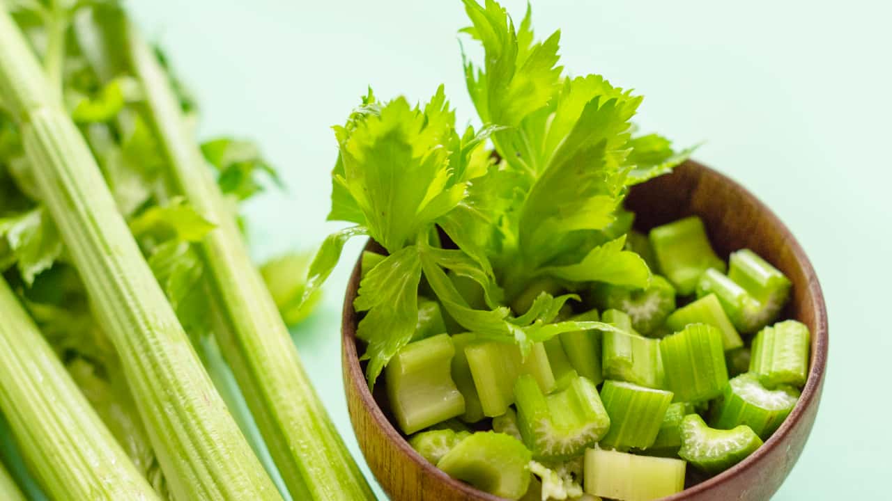 Confira o passo a passo de como plantar aipo em vasos ou canteiros