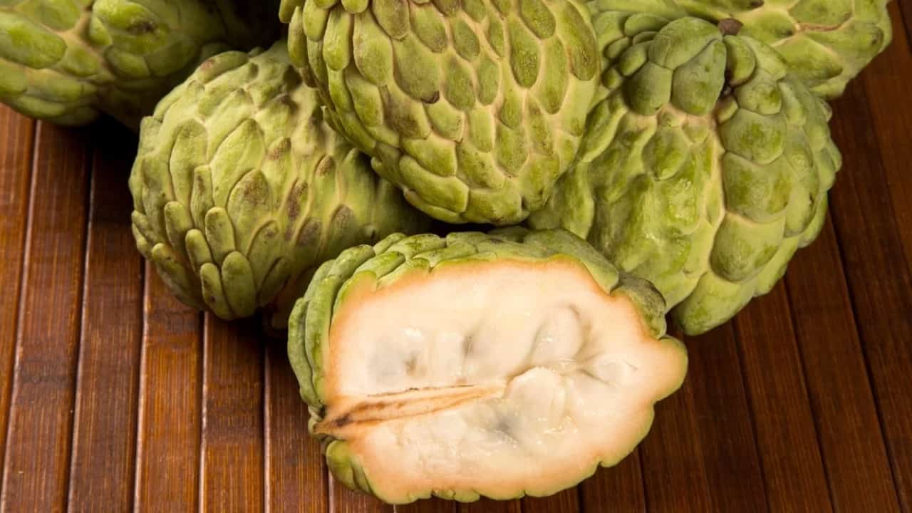 Atemoia aprenda como plantar e os benefícios da fruta para a saúde