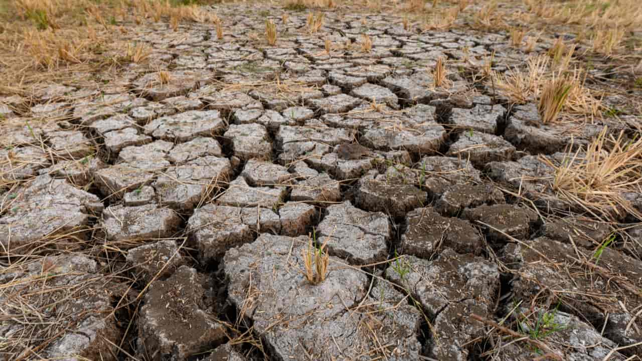 Seca prolongada: riscos para a agricultura, economia e abastecimento de ...