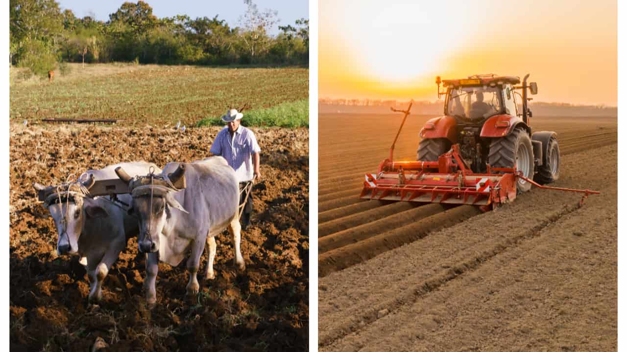 Curso ensina história, evolução, legislação e mercado do agronegócio ...