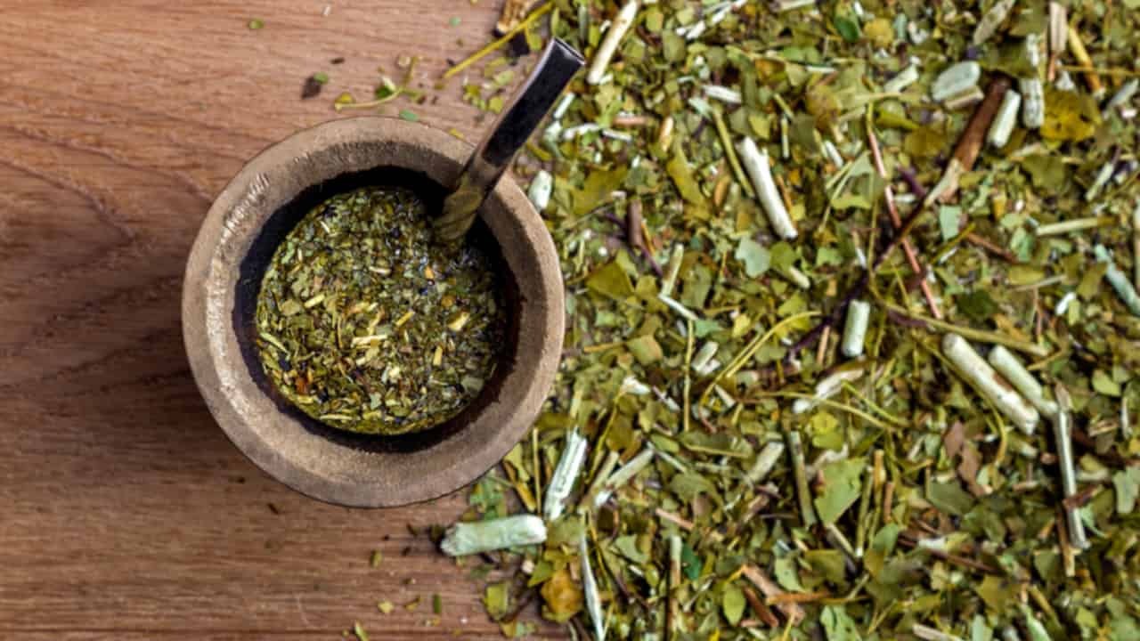 Erva-mate: Brasil é o maior produtor da América do Sul; exportações crescem