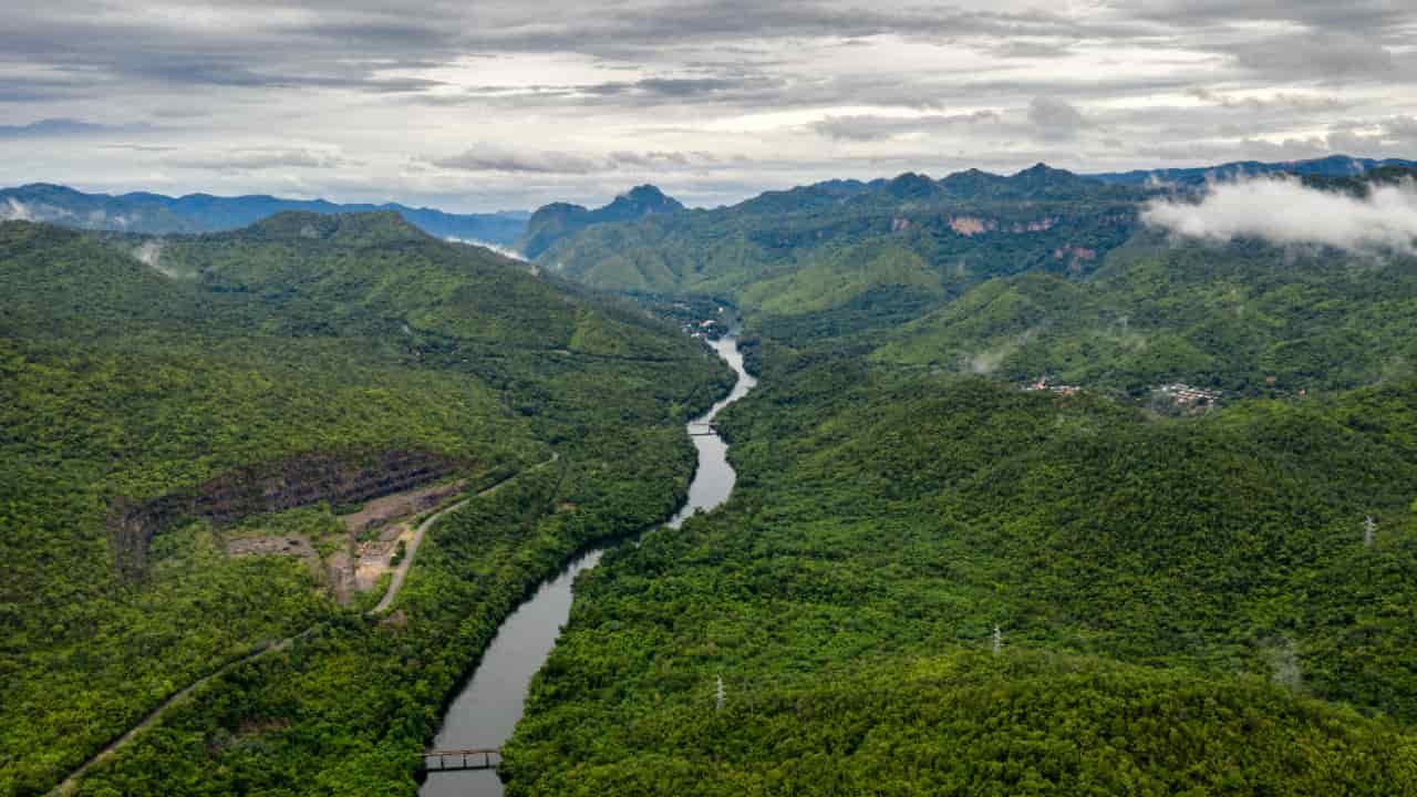 Fundo Amazônia terá apoio de 91 milhões da Irlanda para preservação da ...