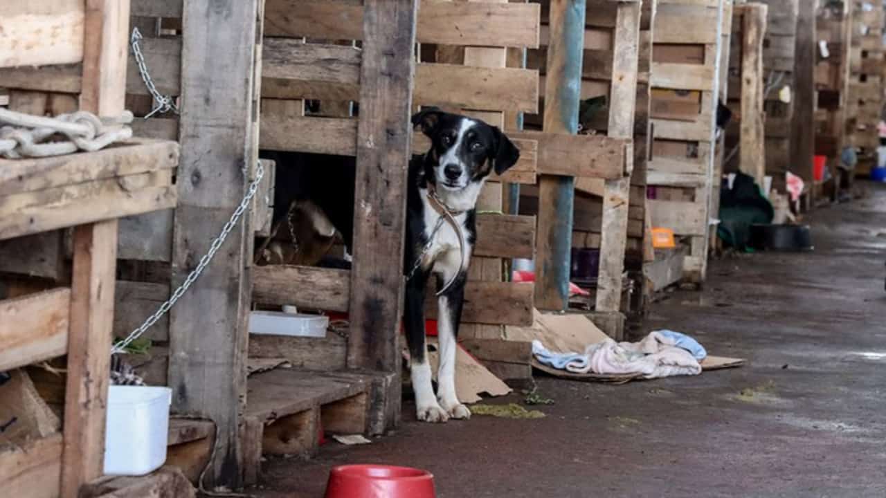Novo acordo é lançado para capacitação de agentes públicos para ...