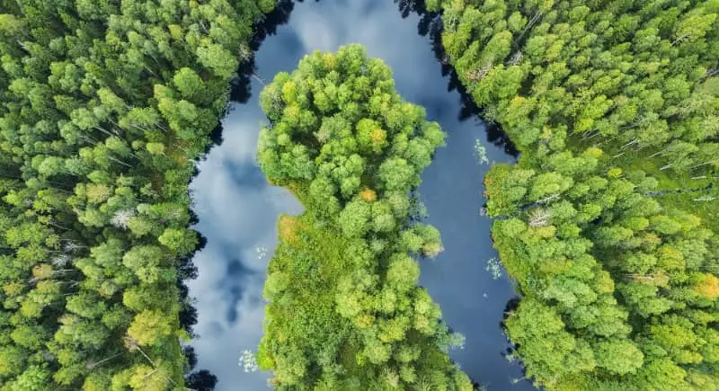 Fundo Clima aprova R$ 11,2 bilhões para ações contra a mudança do clima ...
